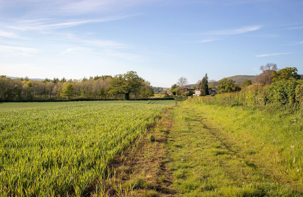 Planning Consultants Bournemouth: Intelligent Land Development
